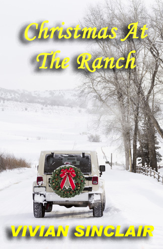 Vivian Sinclair Books